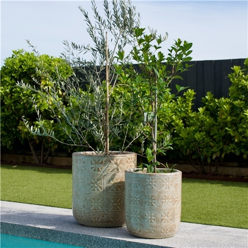 Rustic Sunshine Pot Brown | Pots WA
